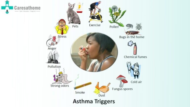Understanding Asthma Triggers - Cares at Home - Blog
